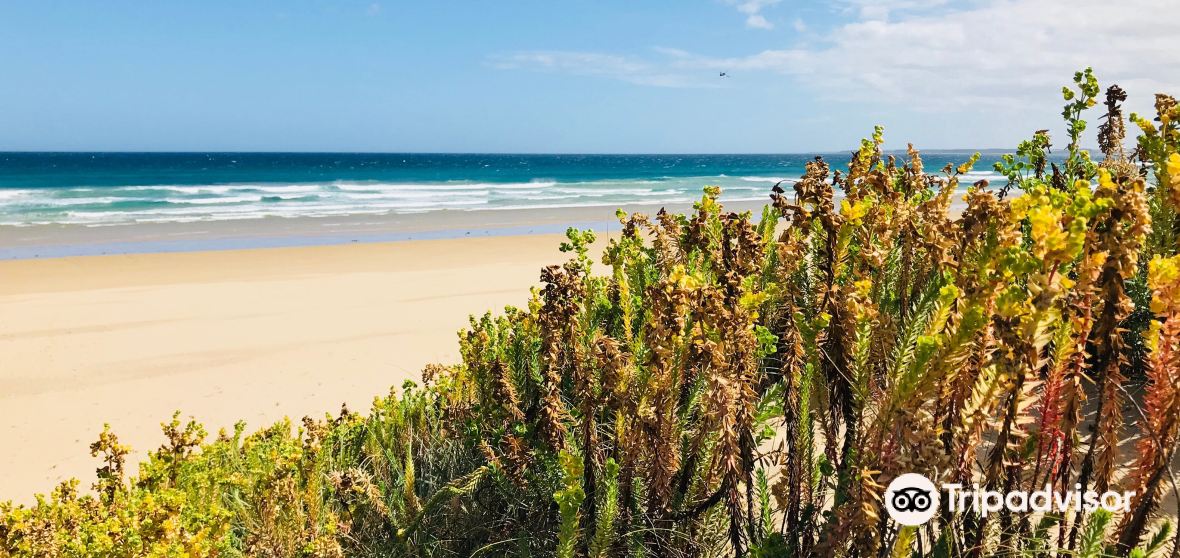 Venus Bay Travel Guide 2023 - Things to Do, What To Eat & Tips | Trip.com