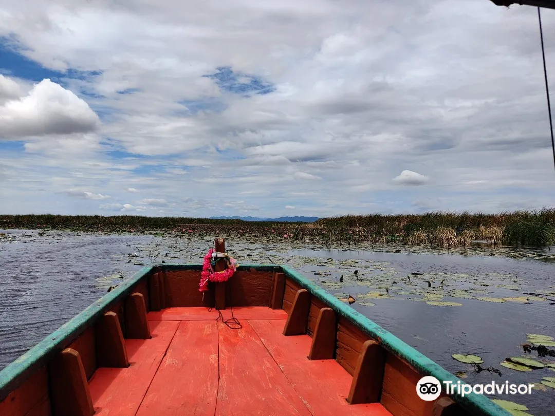 Bueng Bua Wood Boardwalk(Thung Sam Roi Yot): скидки на билеты, цены и ...