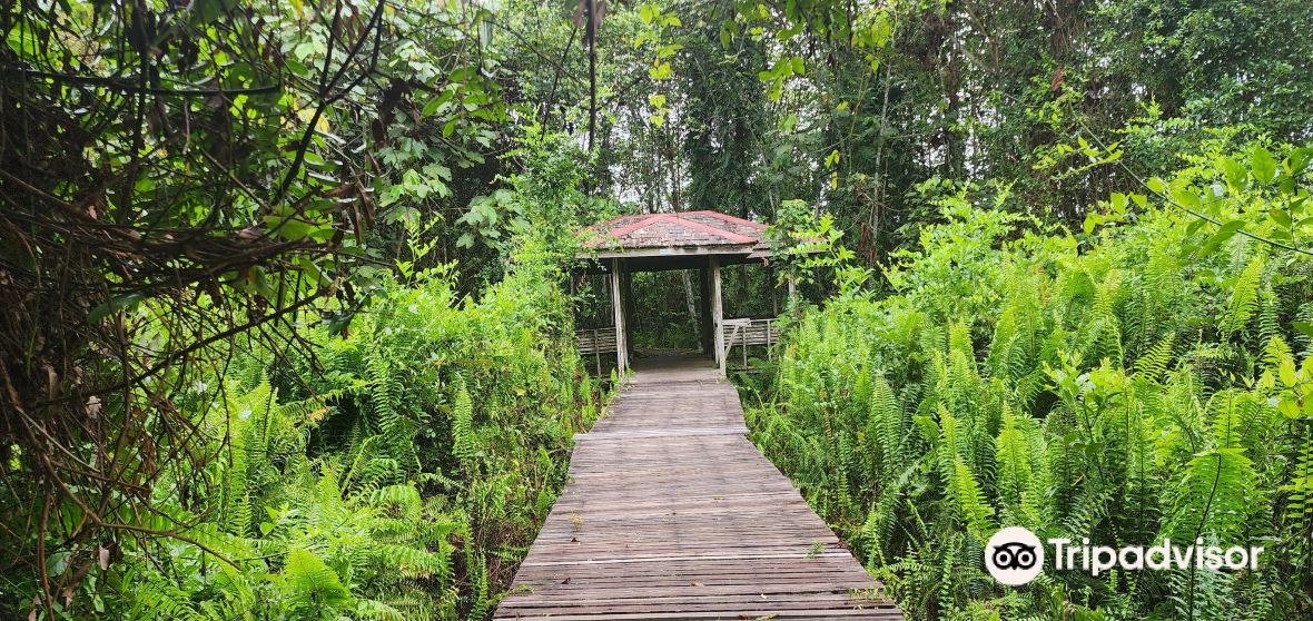 Things to Do in Sibu in 2024 - Top Attractions, Local Food, Hotels ...