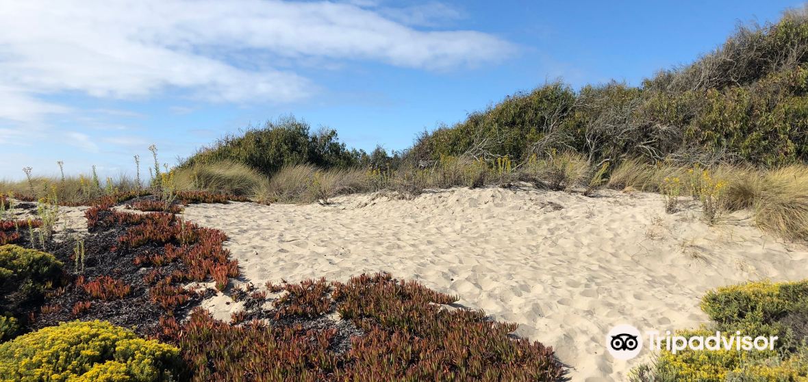 Things to do in Prunedale (2025): Top nearby activities,popular ...