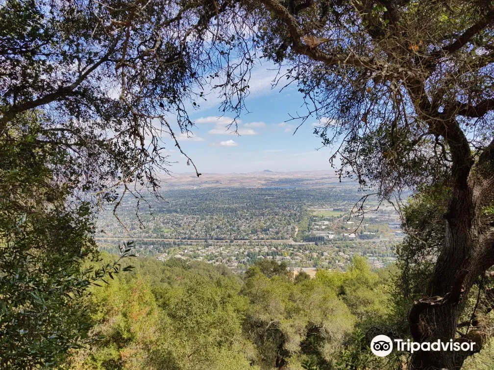 Castle Ridge Trail Tickets [2025] - Promos, Prices, Reviews & Opening ...