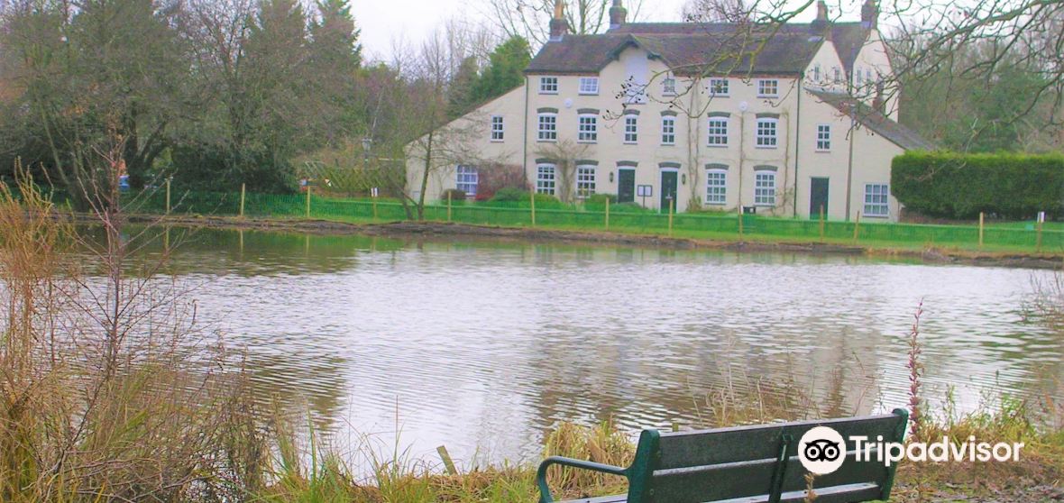 Things to Do in Madeley in 2025 - Top Attractions, Local Food, Hotels ...