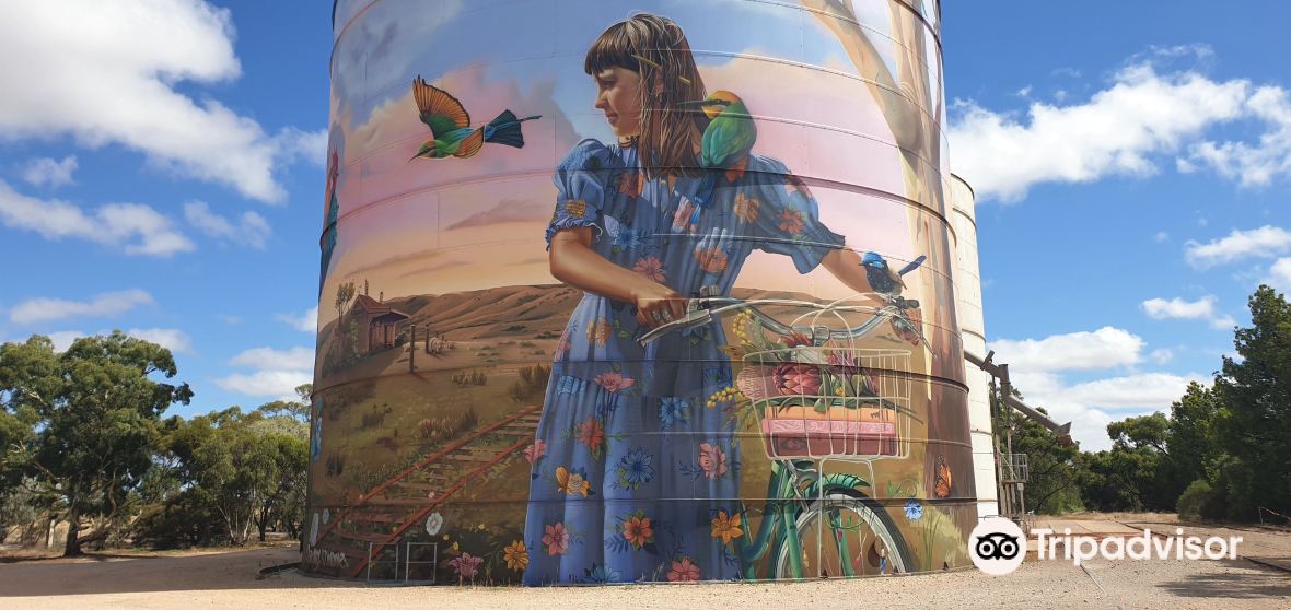 Things to do in Port Wakefield (2025): Top nearby activities,popular ...