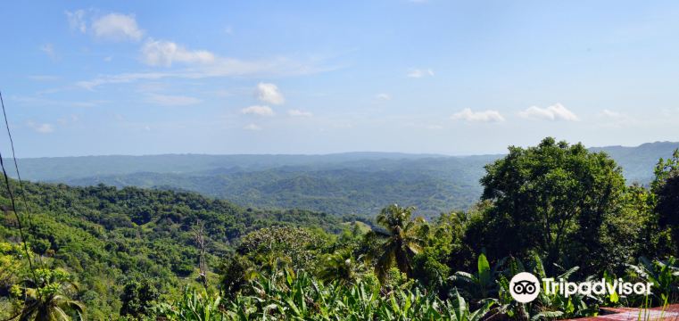 Things to do in Trout Hall (2025): Top nearby activities,popular ...