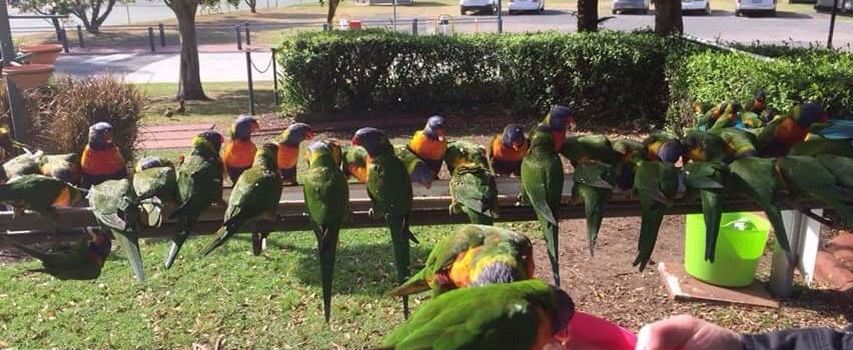 Burrill Lake Independent Travel Guide (2025): Top Things to Do Near You ...