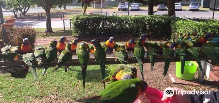 Burrill Lake Independent Travel Guide (2025): Top Things to Do Near You ...