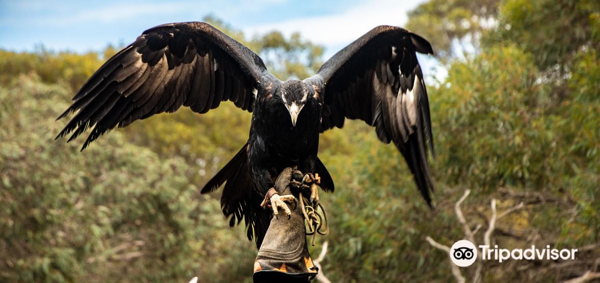 Things to Do in Seddon in 2025 - Top Attractions, Local Food, Hotels ...