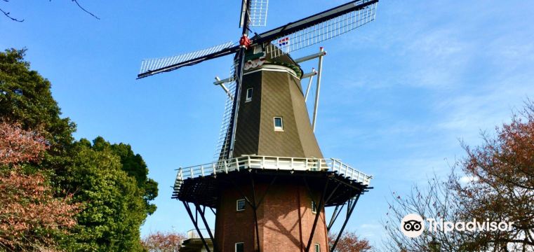 Shunan Travel Guide 2026: Top Attractions, Things to Do & Deals | Trip ...