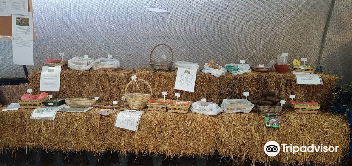 Things to Do in Pardes Hanna-Karkur in 2025 - Top Attractions, Local ...