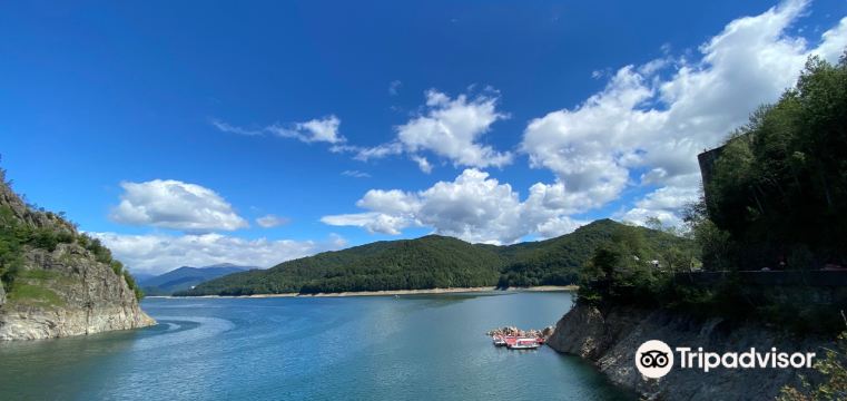 Things to Do in Arges in 2024 - Top Attractions, Local Food, Hotels ...