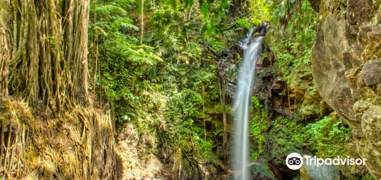 Cisantana 2024 인기 명소 - Cisantana 트립 가이드 - Cisantana 인기 명소 입장권 추천, 호텔, 가 ...