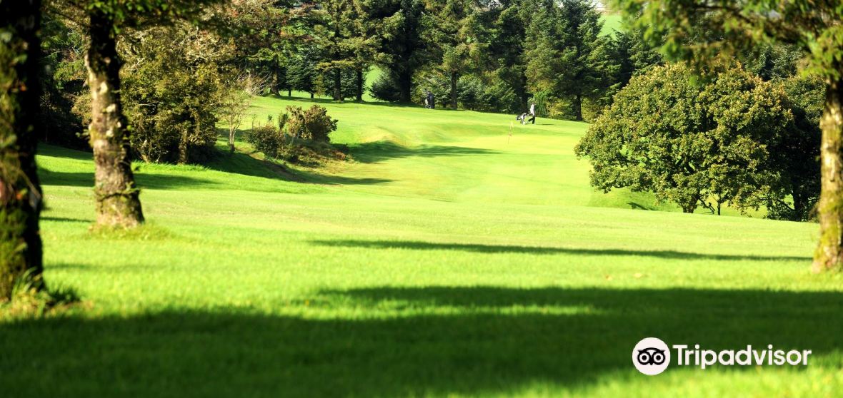 Things to Do in Cynwyl Elfed in 2024 - Top Attractions, Local Food ...