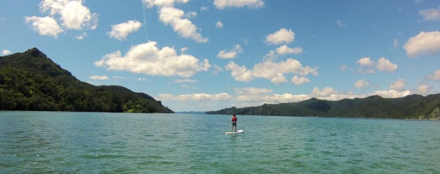 Kennedy Bay Independent Travel Guide (2025): Top Things to Do Near You ...