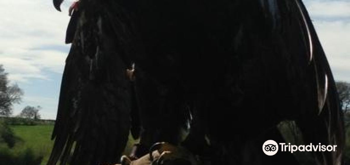 Acton Bridge Travel Guide 2023 - Things to Do, What To Eat & Tips ...