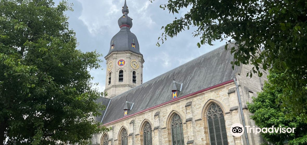 Things to Do in Temse in 2025 - Top Attractions, Local Food, Hotels ...