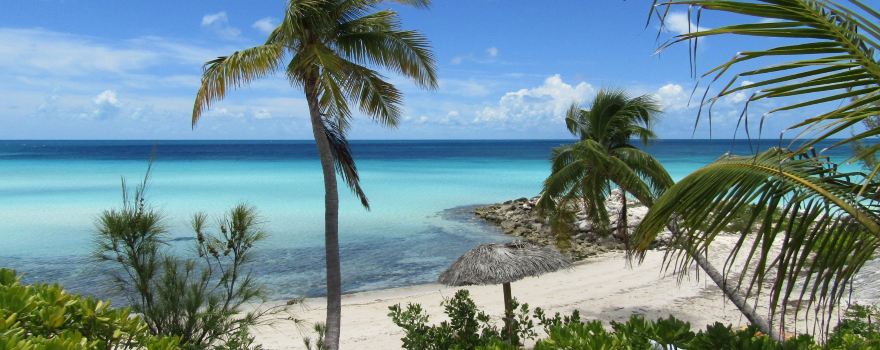 2025Alice Town自由行旅遊懶人包：附近景點美食、飯店機票一日遊預訂 Trip.com (2025 年 12 月)