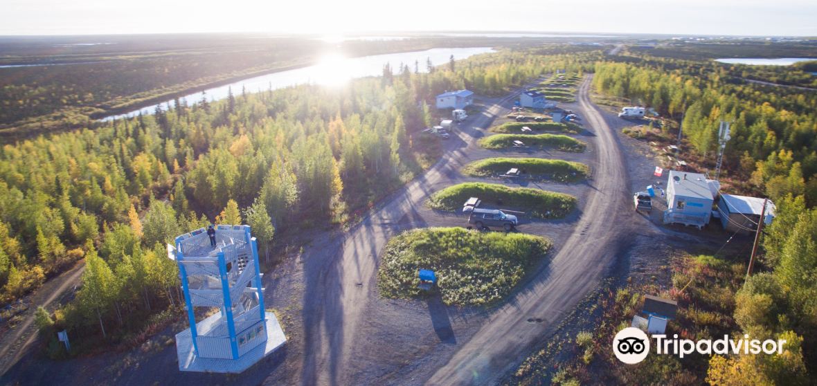 Things to do in Inuvik (2025): Top nearby activities,popular ...