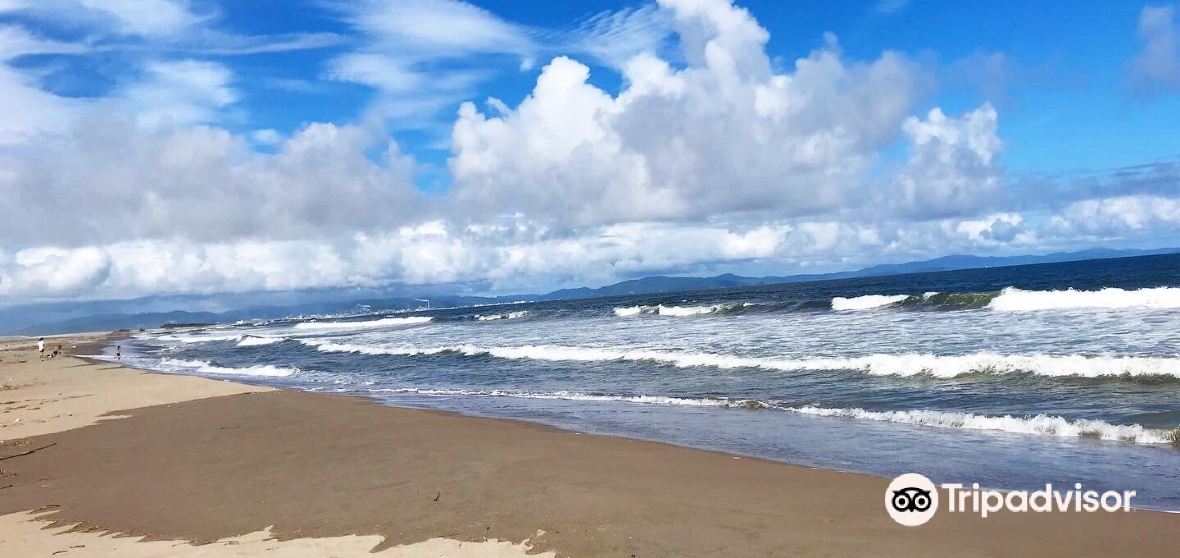 Higashimatsushima Travel Guide 2023 - Things to Do, What To Eat & Tips ...