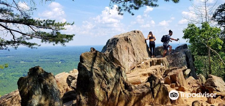 Things to Do in Gaston County in 2024 - Top Attractions, Local Food ...