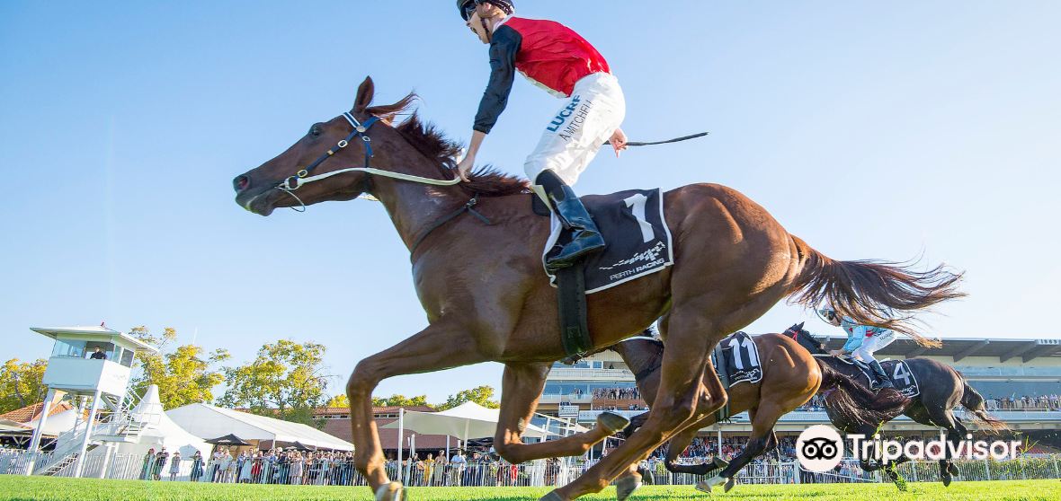 Ascot Travel Guide 2025: Top Attractions, Things to Do & Deals | Trip ...