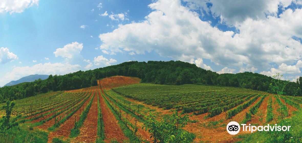 Zitsa Travel Guide 2024 - Things to Do, What To Eat & Tips | Trip.com