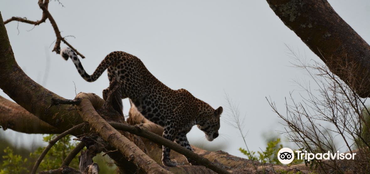 Things to Do in Kamwenge in 2025 - Top Attractions, Local Food, Hotels ...