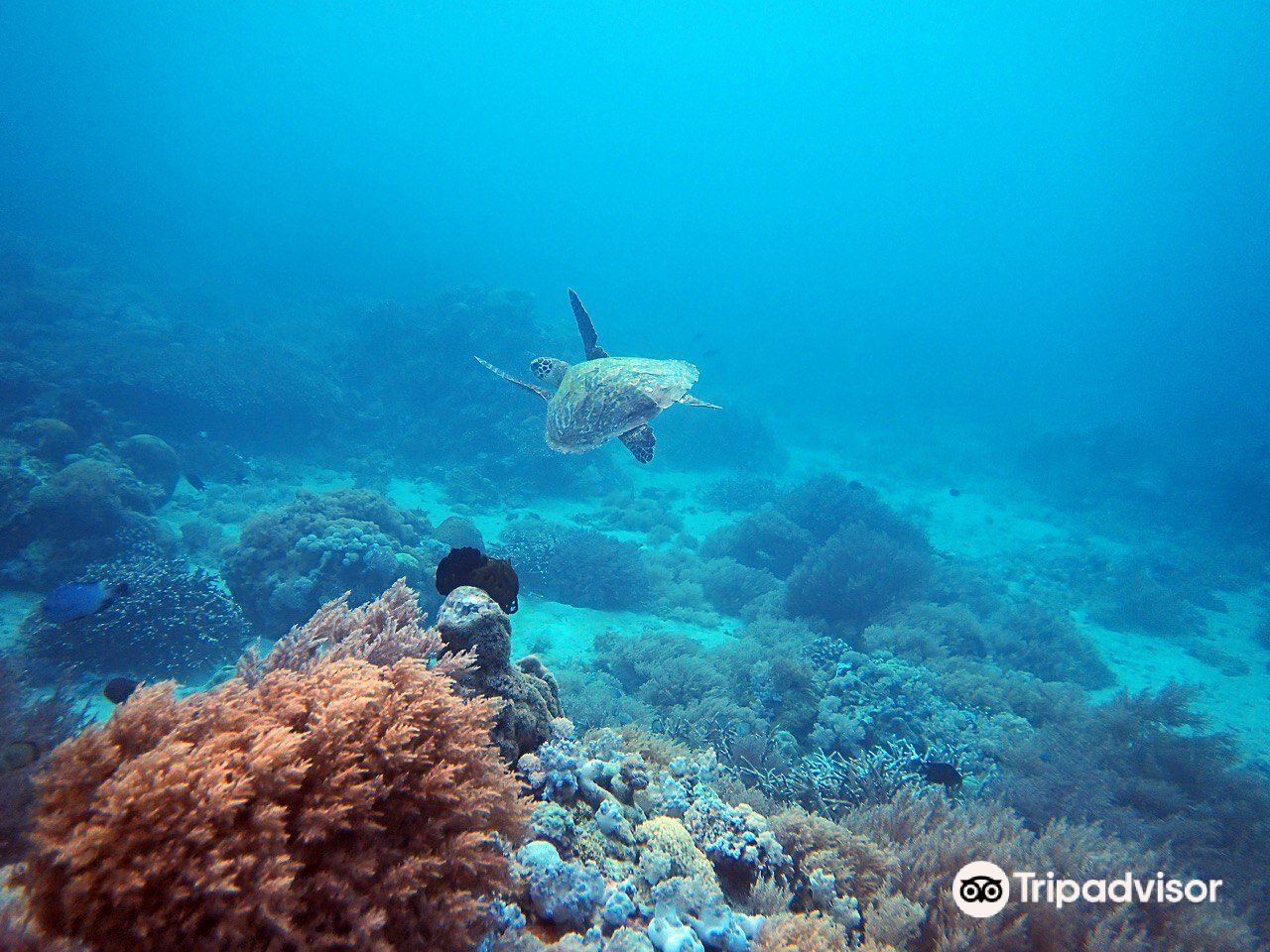 10 CLOSEST Hotels Near Talipanan Beach - Abra de Ilog | Trip.com