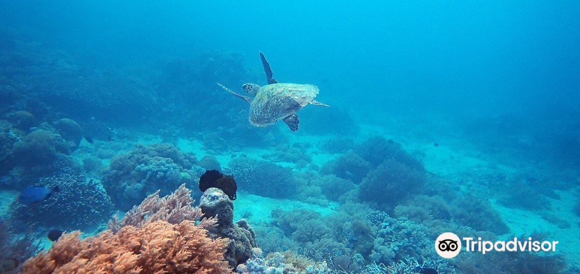 Things to do in Abra de Ilog (2025): Top nearby activities,popular ...