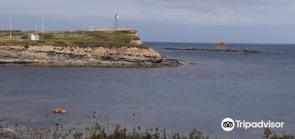 Things to Do in Point Aconi in 2024 - Top Attractions, Local Food ...