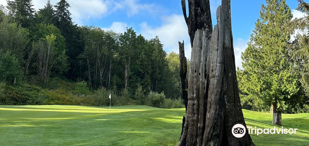 Things to do in Port Ludlow (2025): Top nearby activities,popular ...