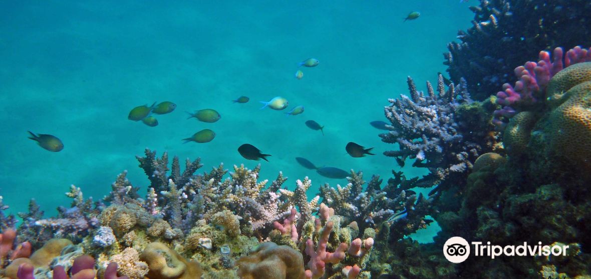 Red Sea independent travel guide (2025): top things to do, popular ...