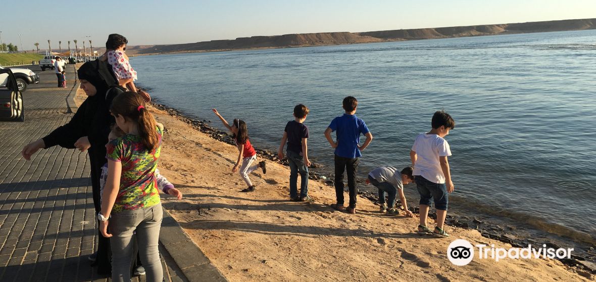 Things to Do in Sakakah in 2024 - Top Attractions, Local Food, Hotels ...