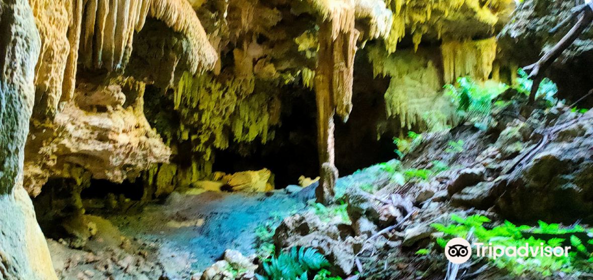 Things to do in Atiu (2025): Top nearby activities,popular attractions ...