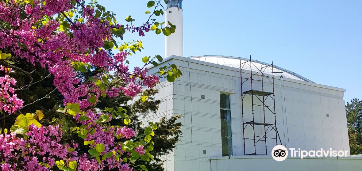 Brcko District Independent Travel Guide (2025): Top Things to Do ...