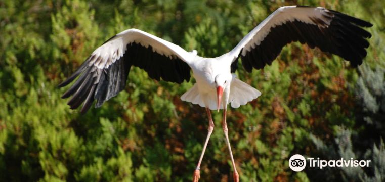 Things to do in Upie (2025): Top nearby activities,popular attractions ...