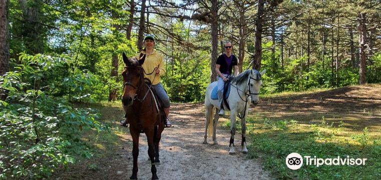 Things to Do in Oleshky in 2024 - Top Attractions, Local Food, Hotels ...