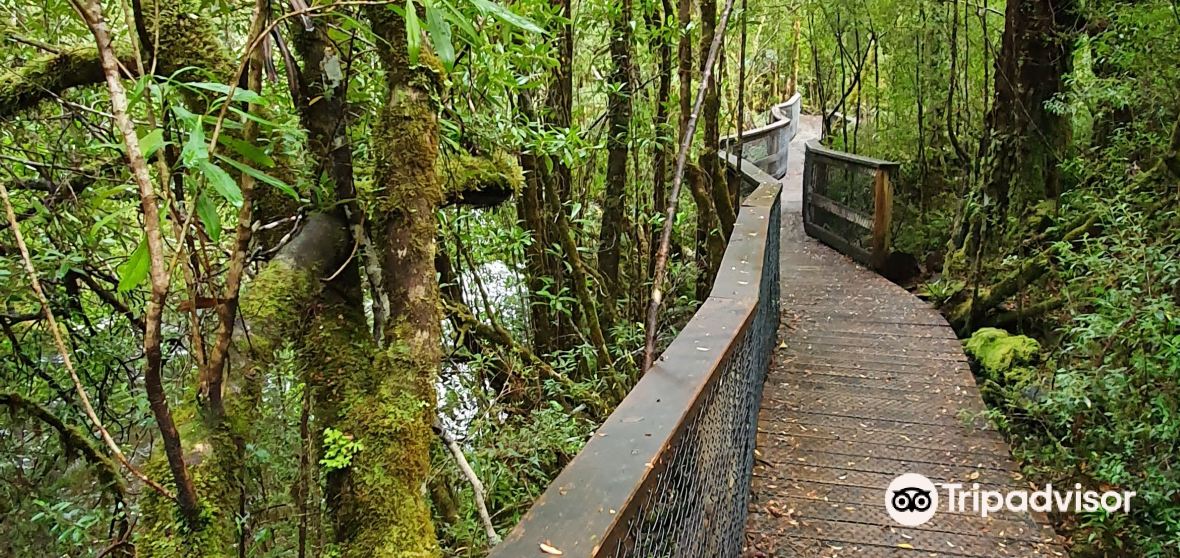 Things to Do in Derwent Bridge in 2024 - Top Attractions, Local Food ...