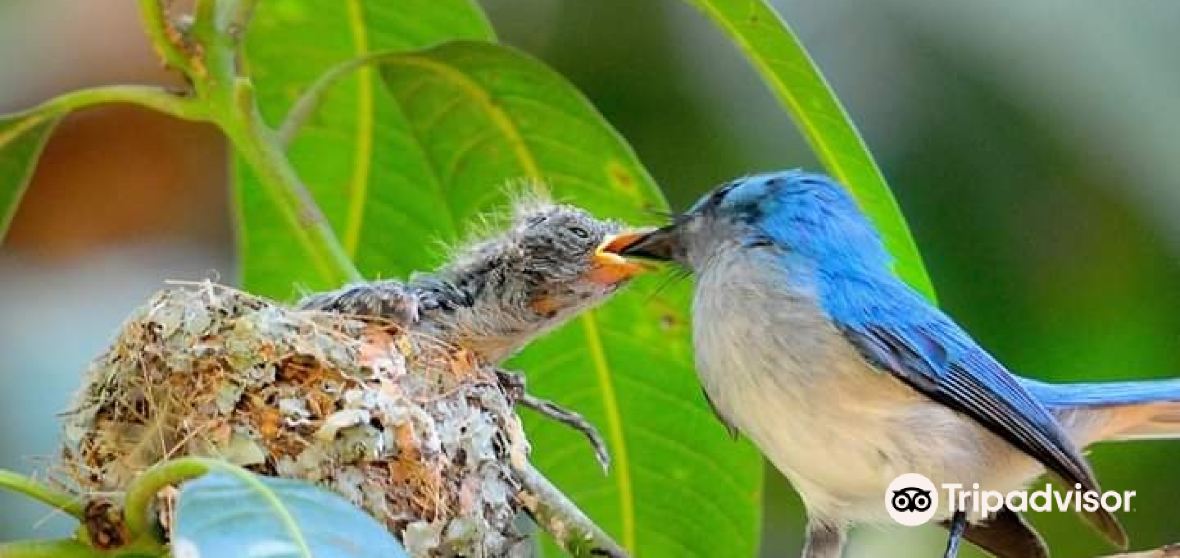 Kyadondo Travel Guide 2024 - Things to Do, What To Eat & Tips | Trip.com