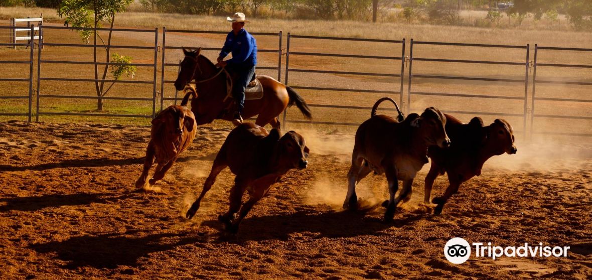 เที่ยวUralla (2025) - ที่เที่ยวใน Uralla, กิจกรรมสนุกๆ, โรงแรม ...