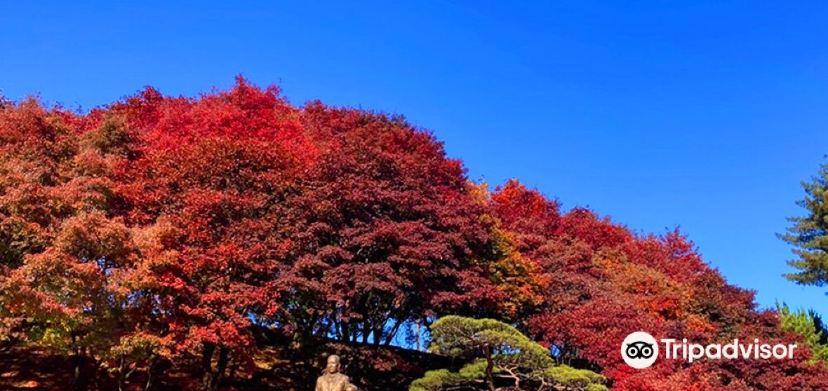 Sejong Travel Guide 2025: Top Attractions, Things to Do & Deals | Trip ...