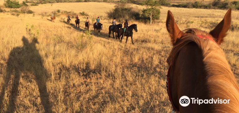 Elukwatini Travel Guide 2026: Top Attractions, Things to Do & Deals ...