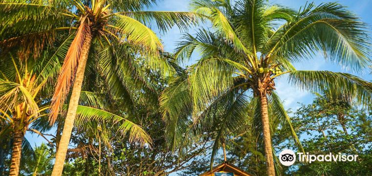 Things to Do in Kampung Kuala Besut in 2025 - Top Attractions, Local ...