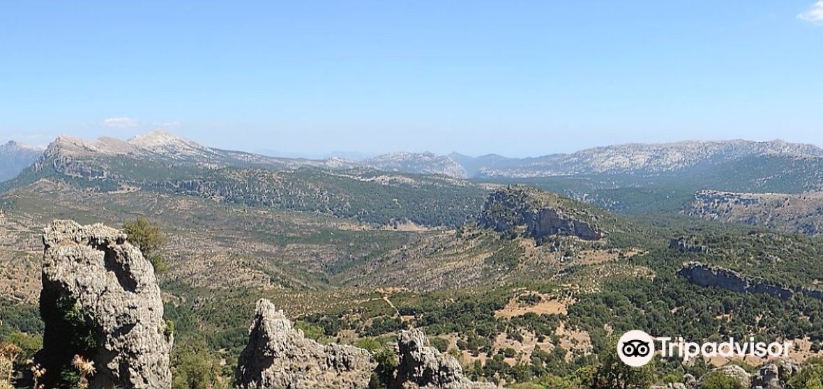 Things to Do in Kapuka South in 2024 - Top Attractions, Local Food ...