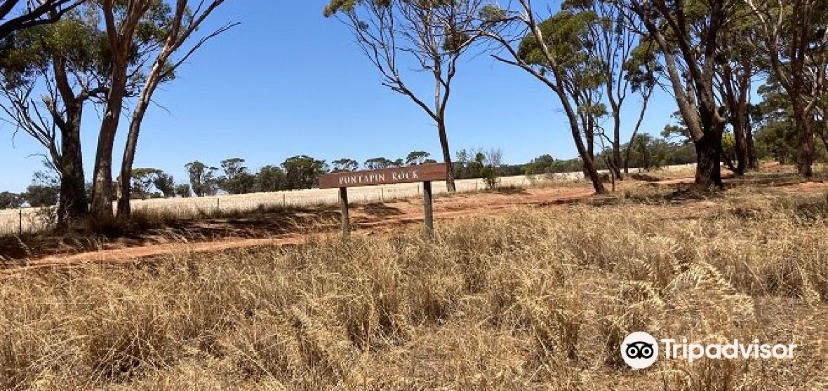 Things to do in Wagin (2025): Top nearby activities,popular attractions ...