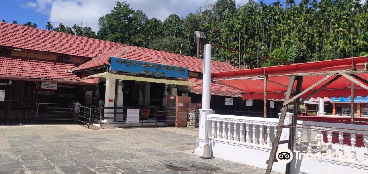 Chikkamagaluru Travel Guide 2024 - Things to Do, What To Eat & Tips ...