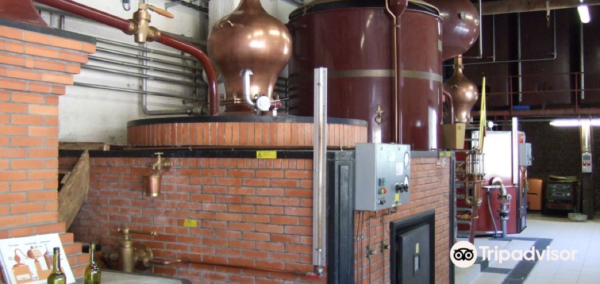 Things to Do in Notre-Dame-de-Courson in 2024 - Top Attractions, Local ...