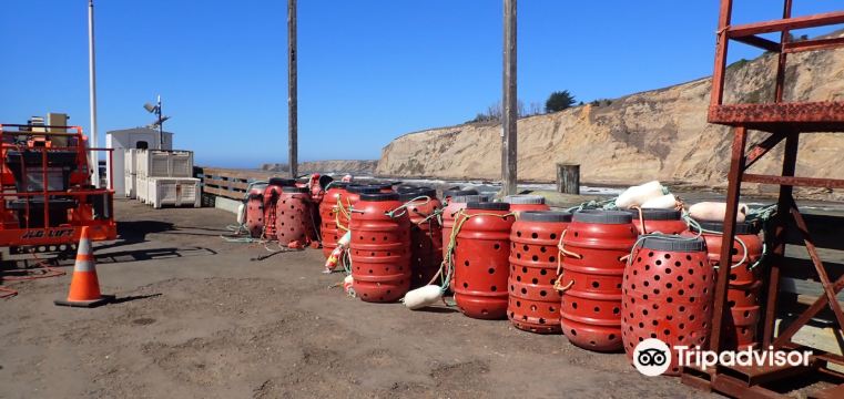 Things to Do in Point Arena in 2024 - Top Attractions, Local Food ...