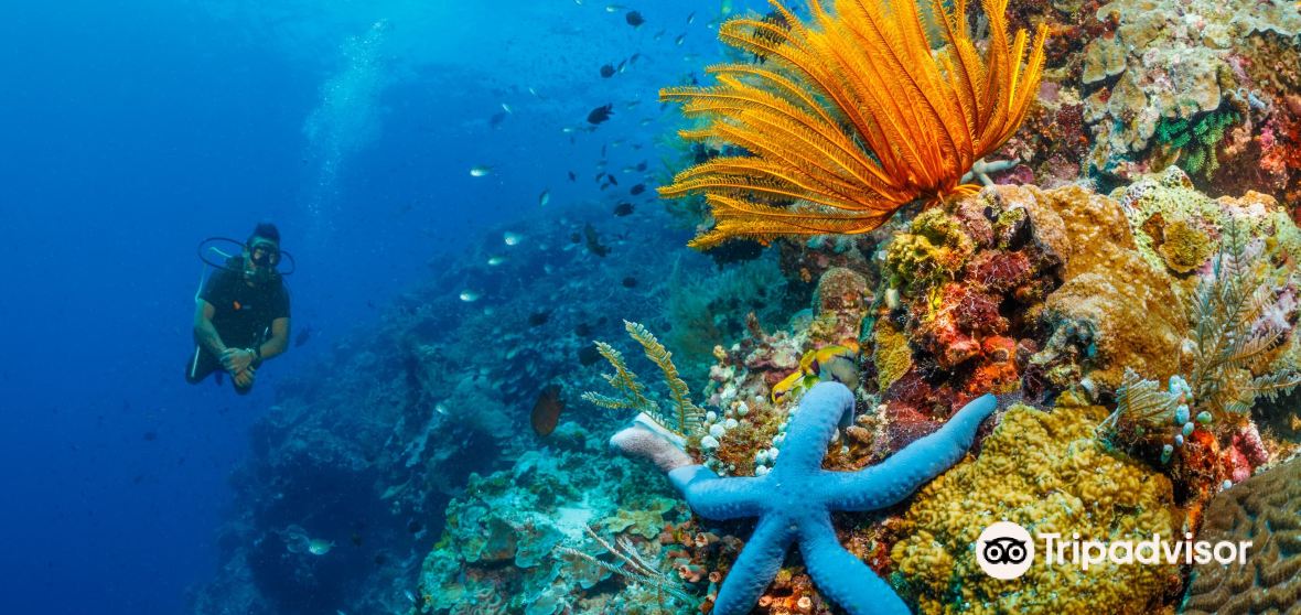 เที่ยวMolas (2024) - ที่เที่ยวใน Molas, กิจกรรมสนุกๆ, โรงแรม ...