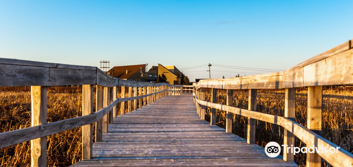 Cap-Pele Travel Guide 2026: Top Attractions, Things to Do & Deals ...