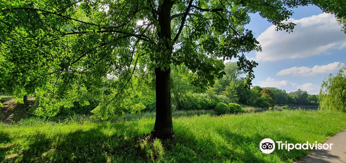 Ochota Travel Guide 2024 - Things to Do, What To Eat & Tips | Trip.com